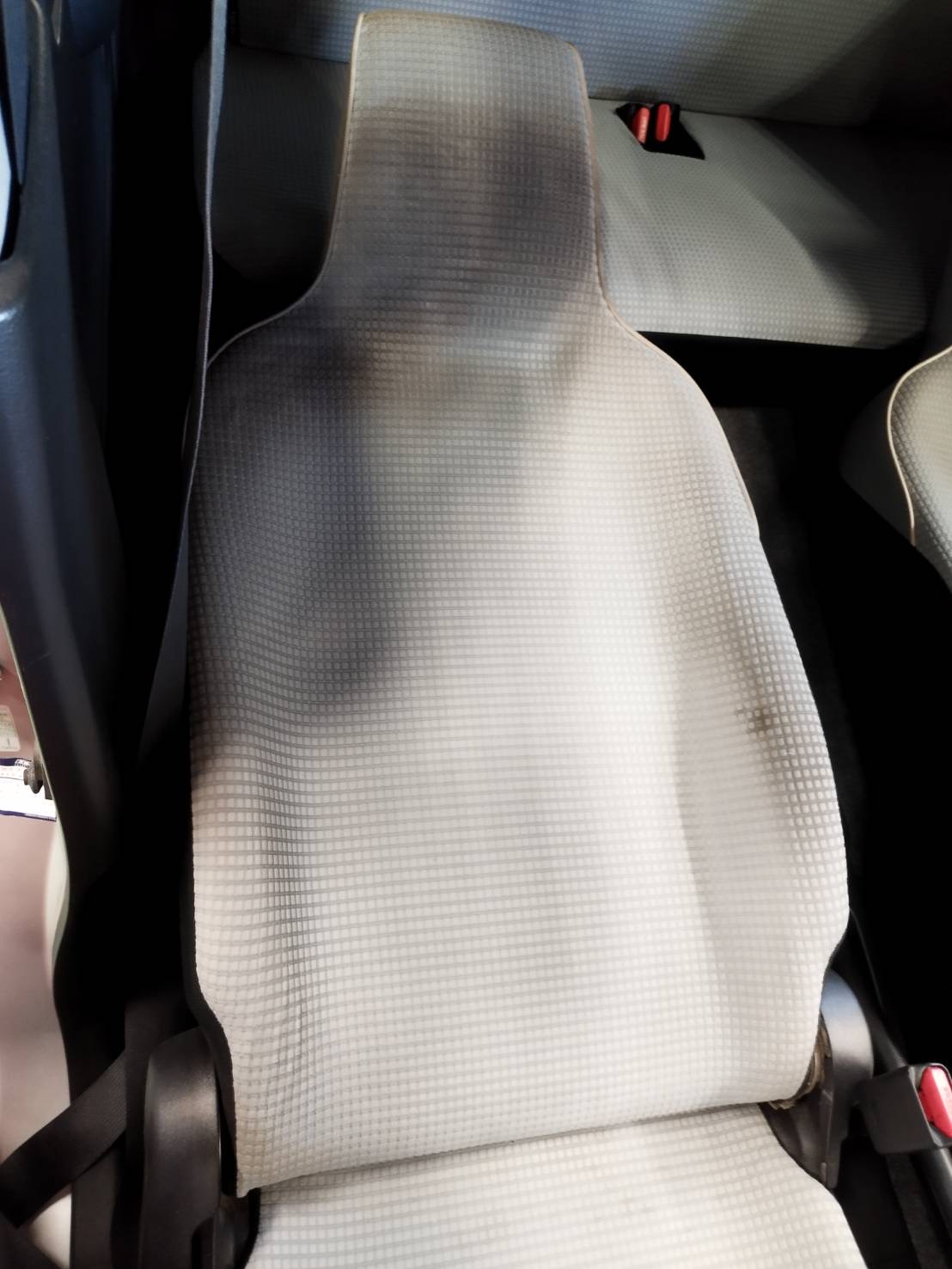 シートクリーニング（スズキ アルト）